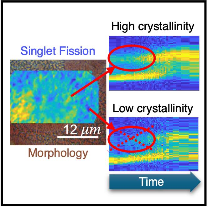 New Paper: Microstructure determines crystallinity-driven singlet ...